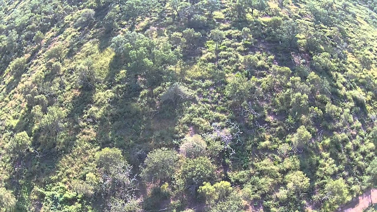 Gatton panic en Santiago del Estero - YouTube