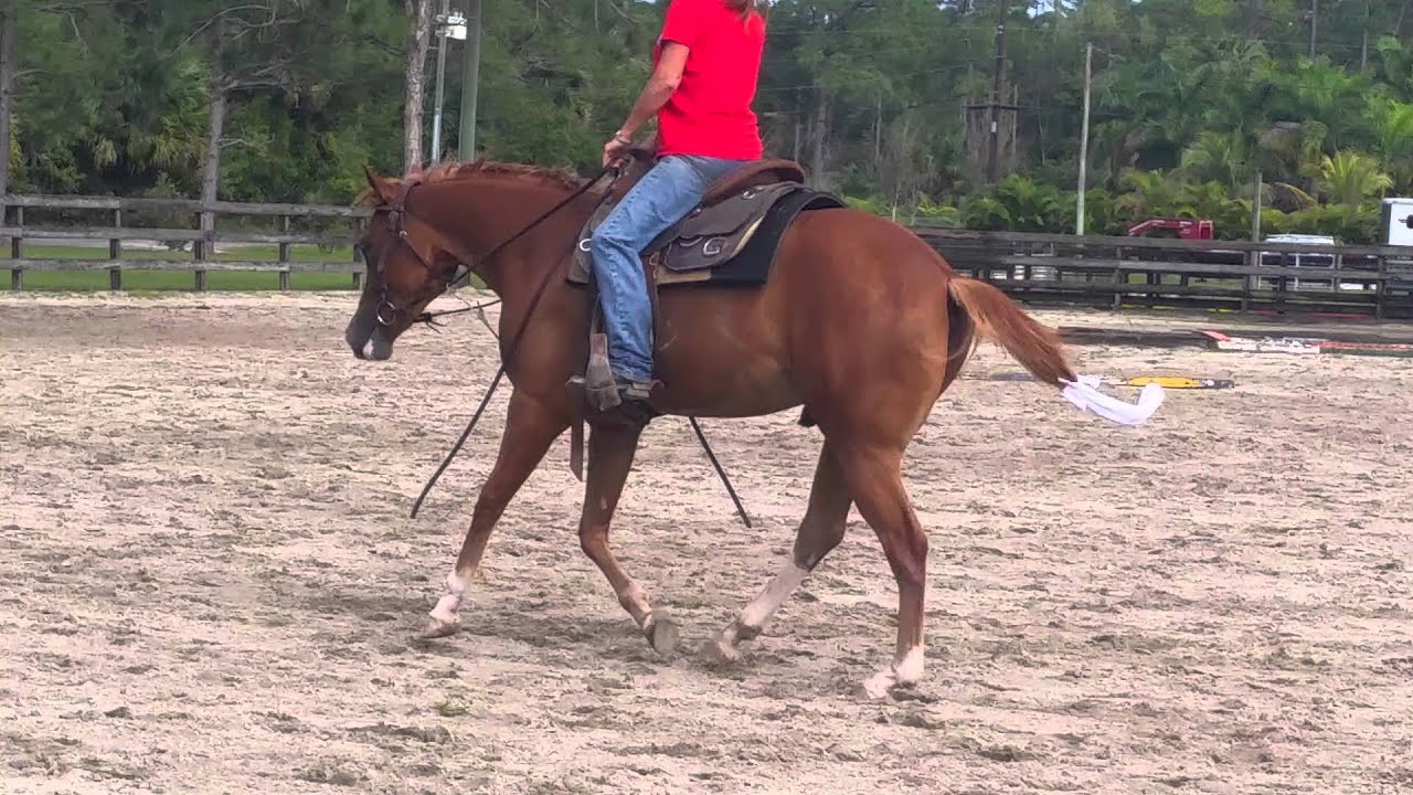 Sensational Dreamaker - YouTube