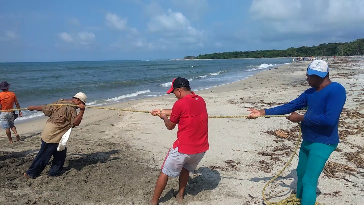 Pesca con chinchorro playero en la vereda de don Diego santa Marta ...