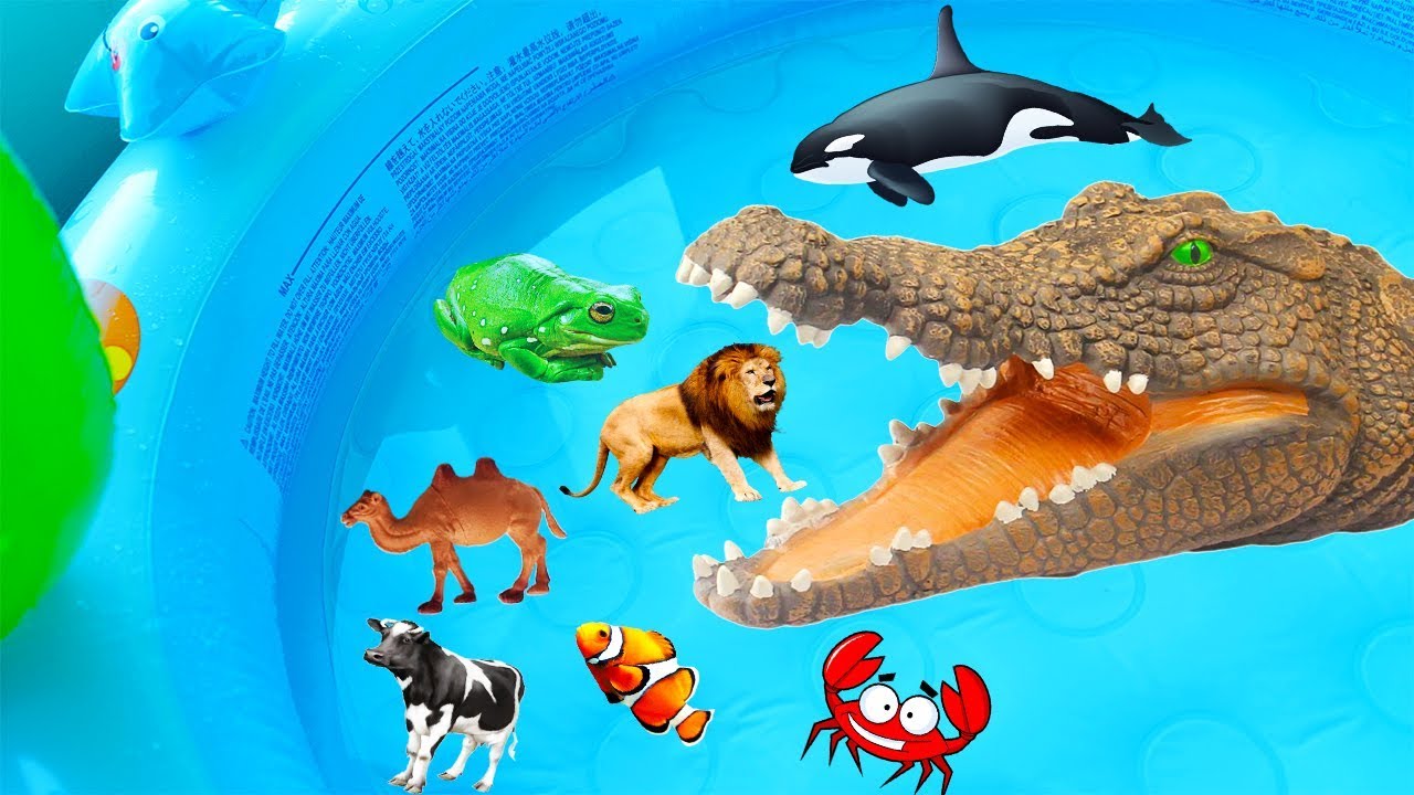 Learn Wild Animals and Farm Animals Name with Toy Zoo Animals for Kids ...