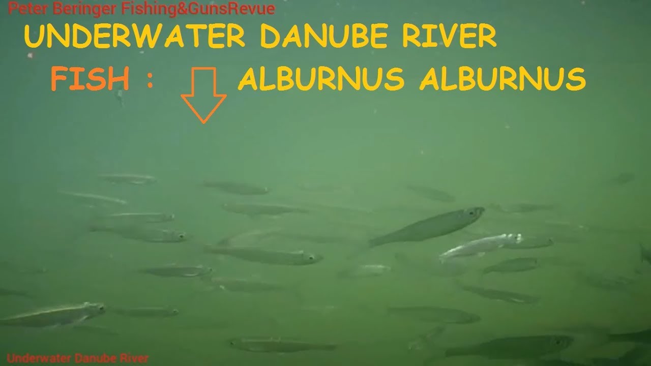 Underwater Danube River - YouTube