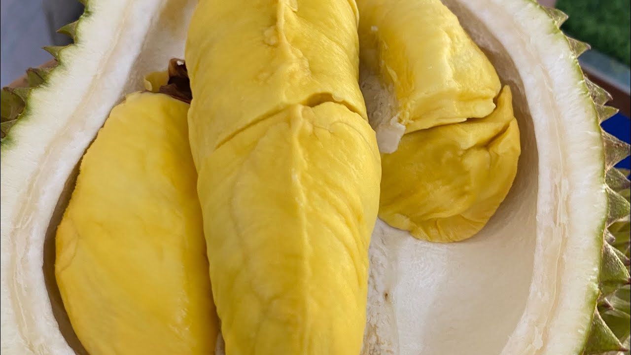 Durian dengan kulit kuning apakah dalamnya bgus🤣🤣#durianmontong # ...