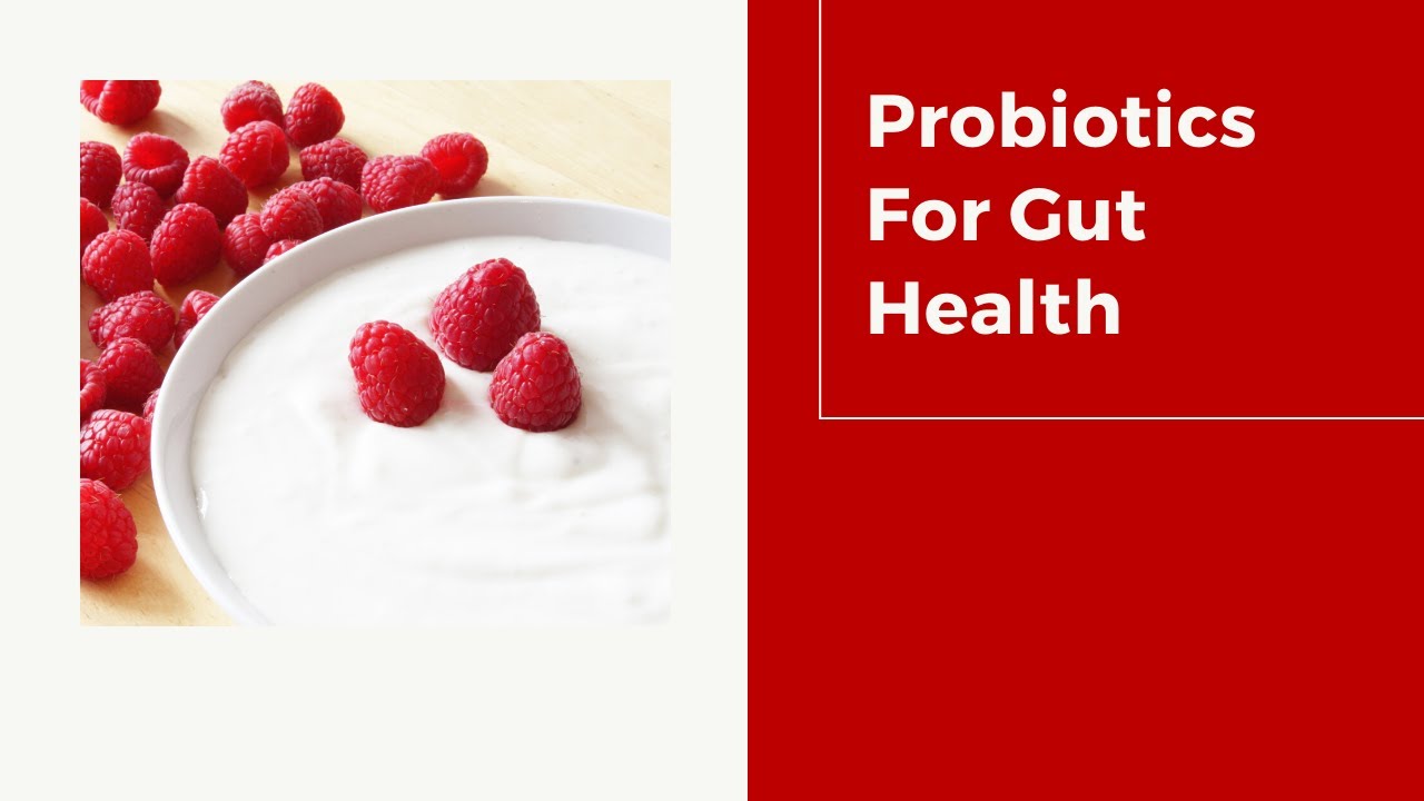 Anti-Aging - Probiotics For Gut Health - YouTube