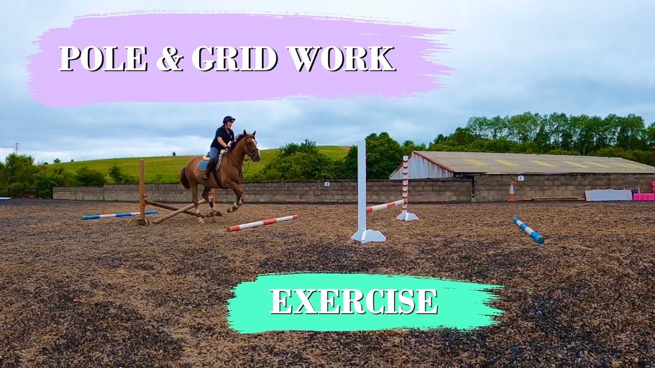 POLE & GRID WORK EXERCISE | JULY 2020 - YouTube