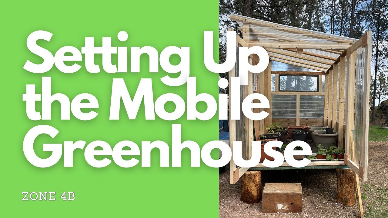 See What Happens When We Set Up Our Mobile Greenhouse! #greenhouse # ...
