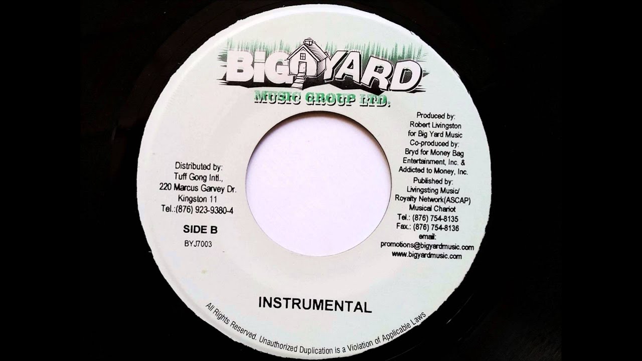 Shaggy Stand Up And Fight Version - Big Yard - YouTube