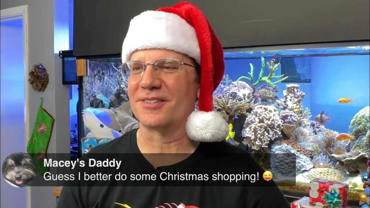 Gifting Your Loved One s Aquarium For The Holiday YouTube gifting-your-loved-one-s-aquarium-for-the-holiday-youtube
