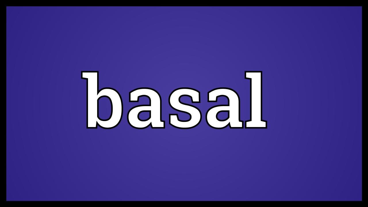 Basal Meaning YouTube