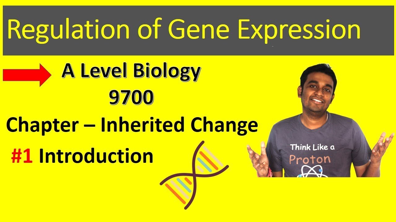 Regulation of Gene Expression | Introduction | A Level Biology (9700 ...