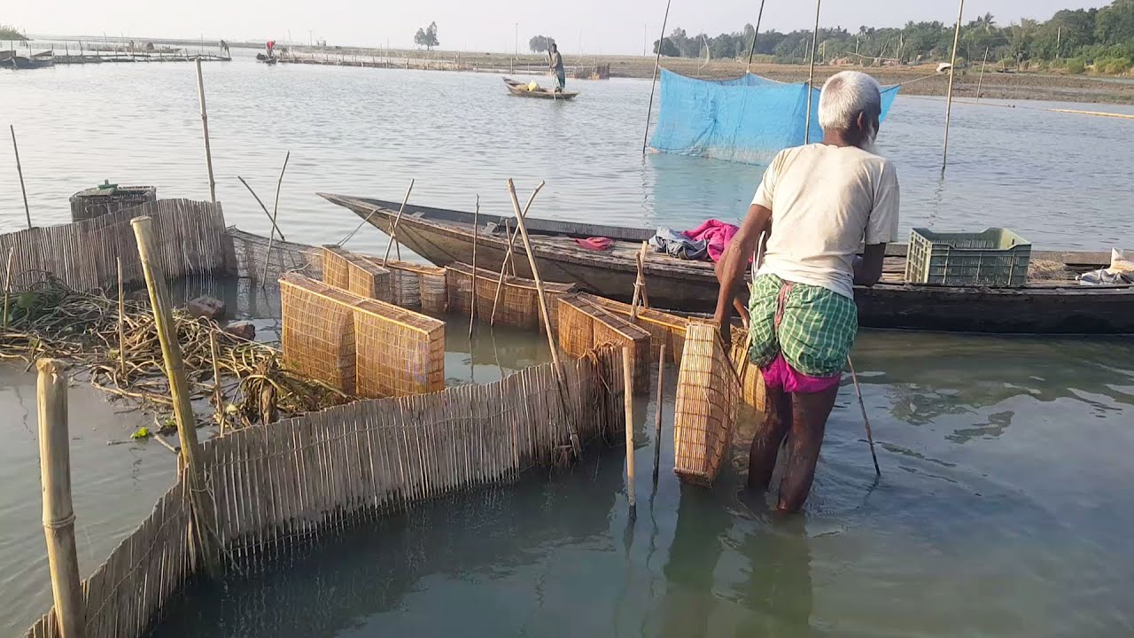 Most unique village fishing culture - YouTube