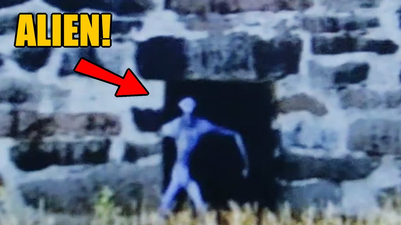 GREY ALIEN COMES OUT HOUSE GETS ABDUCTED!! 25th August 2022! - YouTube
