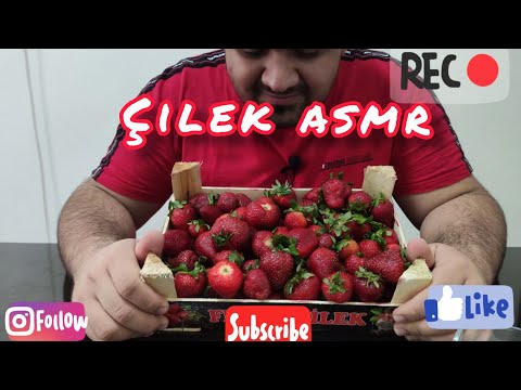* ASMR * ÇİLEK / MEYVE ASMR / TÜRKÇE ASMR / BEKOLATTE ASMR /