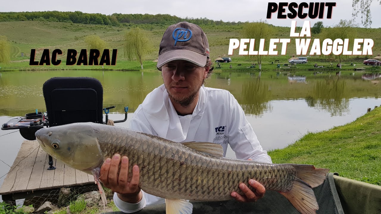 Pescuit la Pellet Waggler pe Lac Barai - YouTube