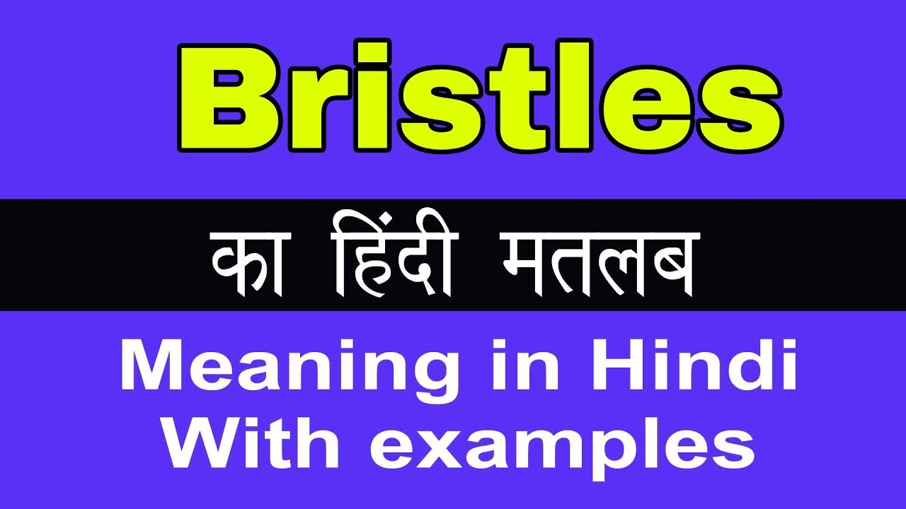 Bristles Meaning in Hindi/Bristles का अर्थ या मतलब क्या होता है - YouTube