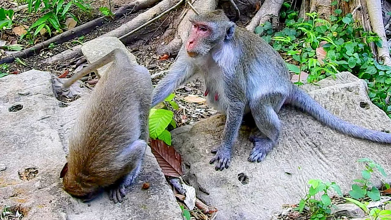 You reach it...Br@t Jonna strange style asked milk until Jane take a ...