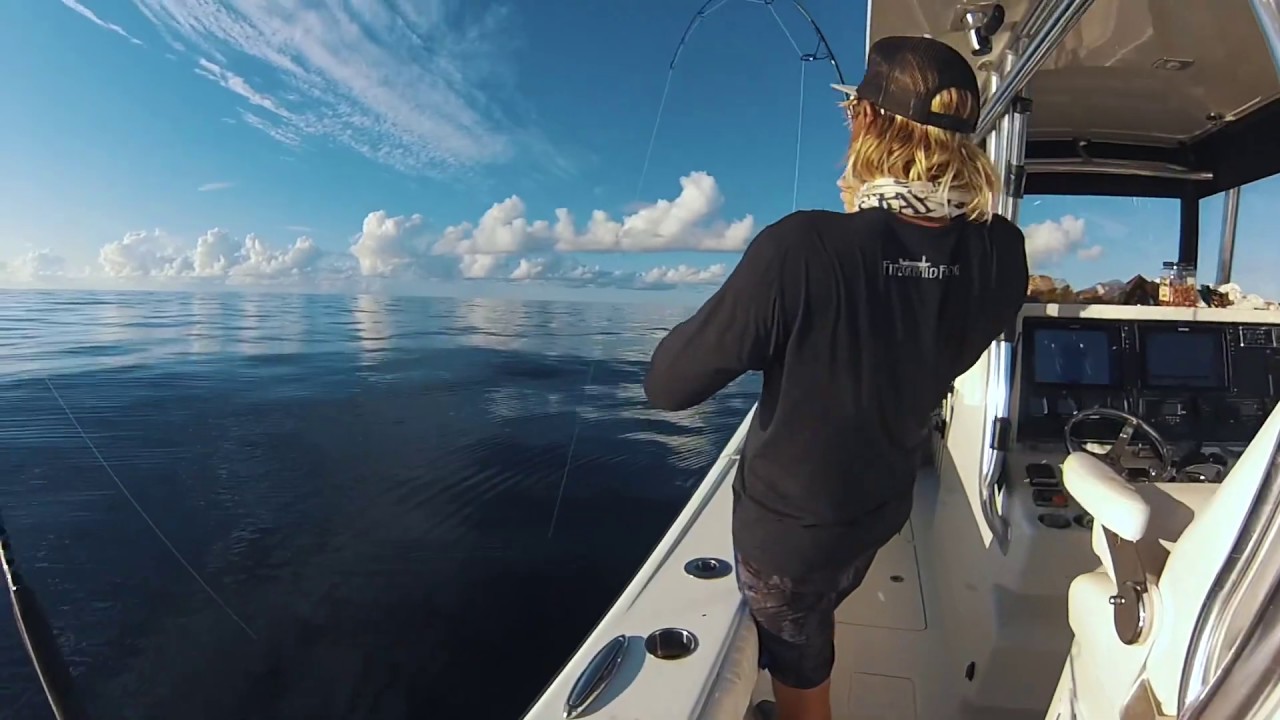 Deep Drop and Gag Grouper Fishing Gulf of Mexico - YouTube