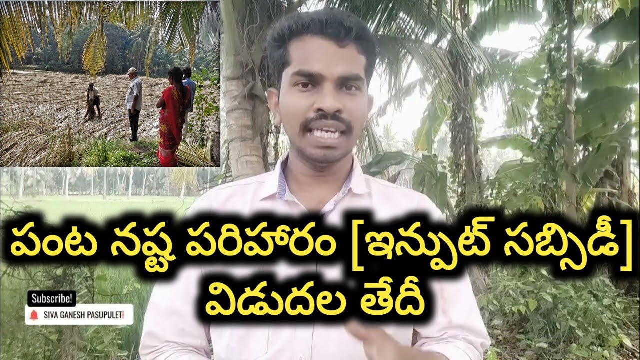 Input Subsidy 2024 AP Release Date - Panta Nasta Pariharam in AP ...