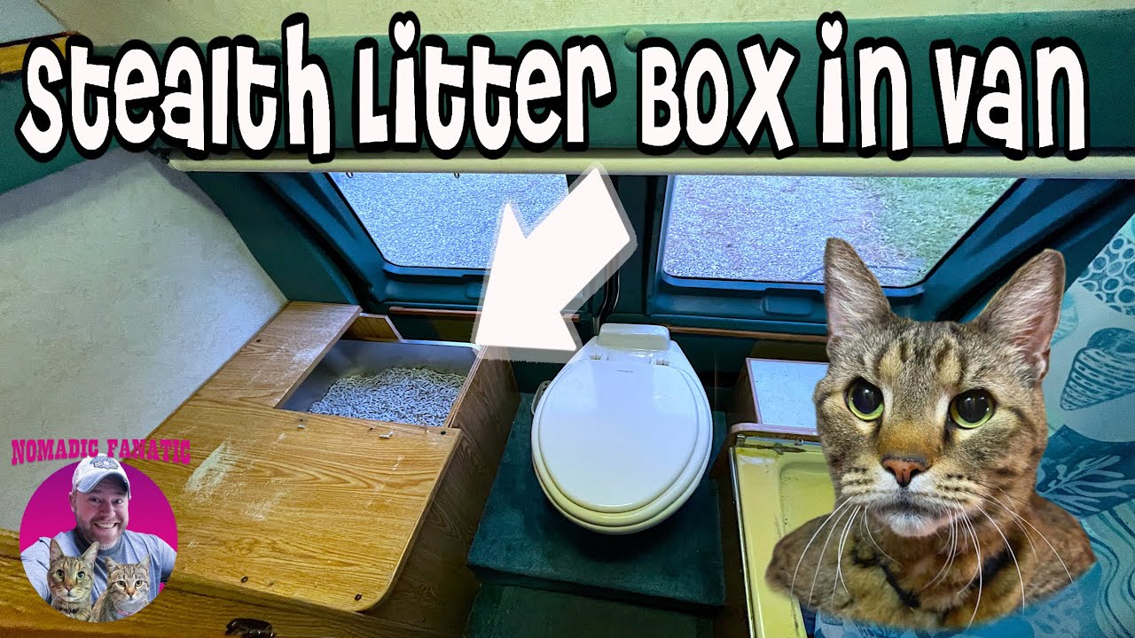 Campervan Litter Box, Fridge INSTALLED, & More Van Upgrades ~ 85% Done ...