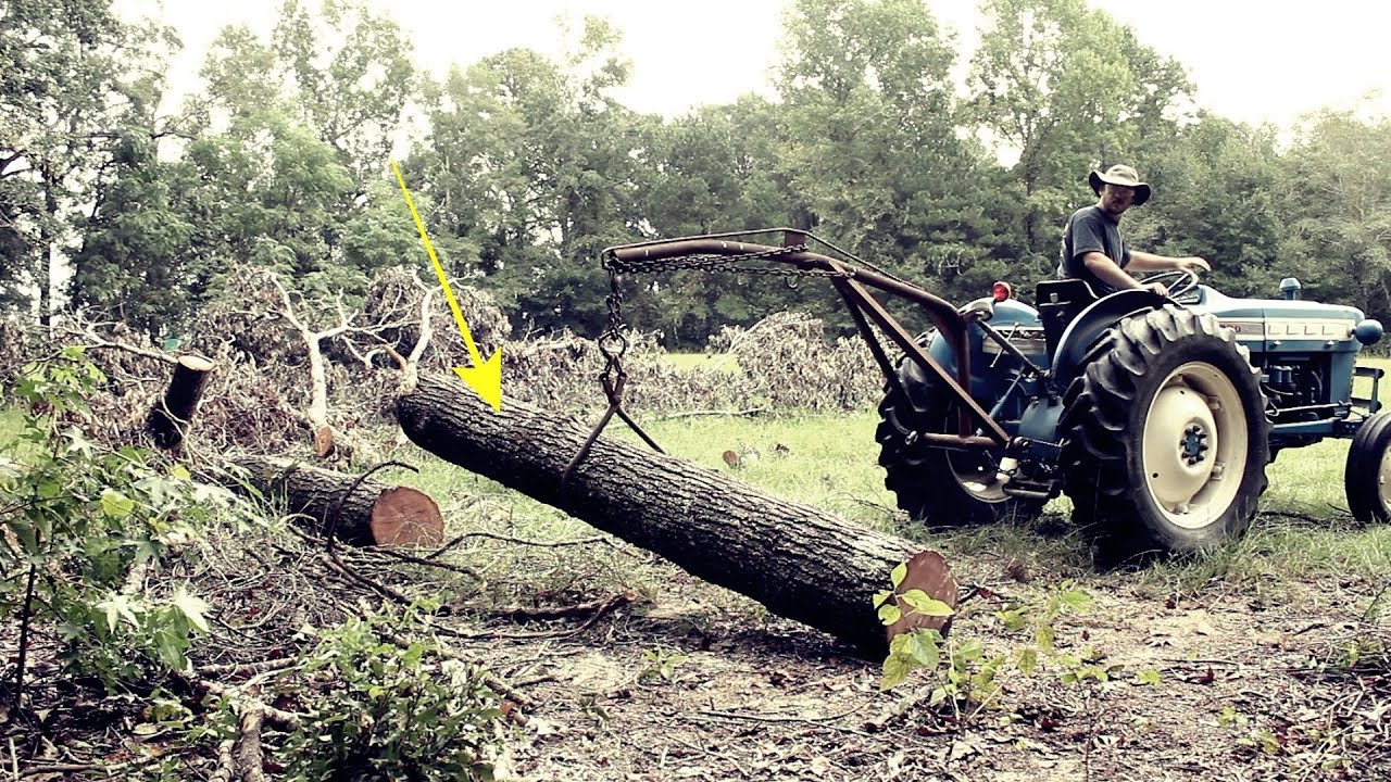 The inside of this Red Oak log was INCREDIBLE! - YouTube