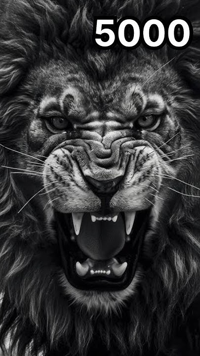 2023 Black Lion and 5000 bce Lion || SXDHU #shortsvideo #ytshorts # ...