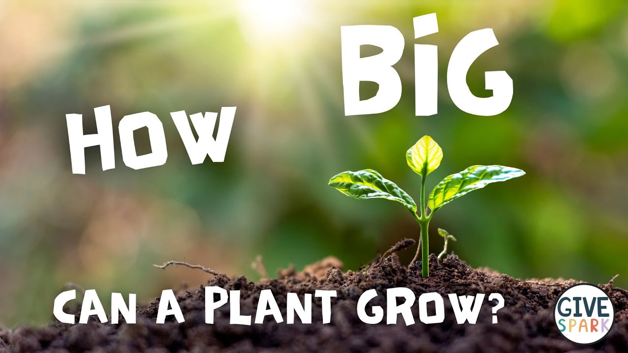 Ecosystems Introduction - 2nd Grade - NGSS - Unit Introduction - YouTube