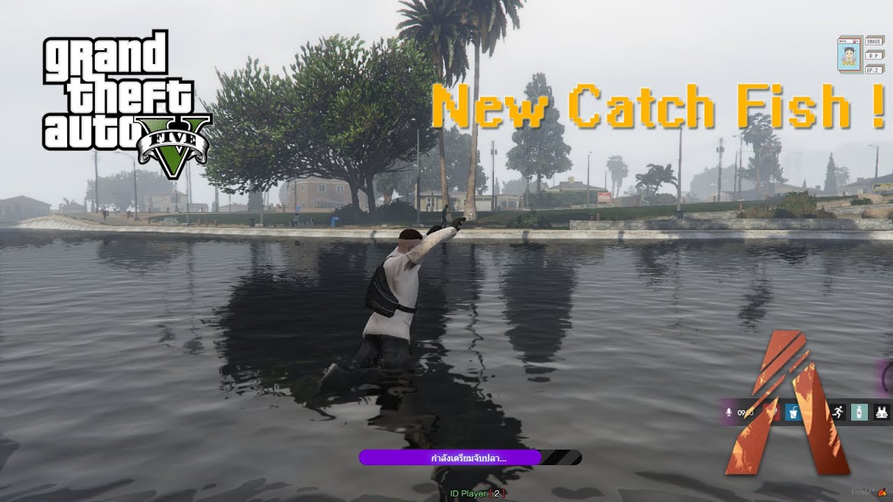 FiveM Script New Catch Fish with animation ! - YouTube