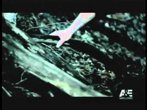 Timothy Weinert Fugitive Chronicles clippings - YouTube