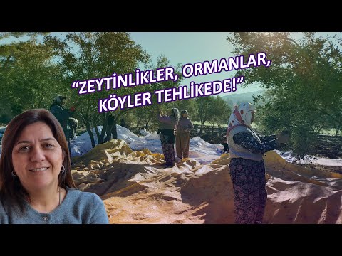 Ecehan Balta Yanıtlıyor: Maden, Enerji ve Zeytinliklere İlişkin Torba Teklif Ne Getiriyor?