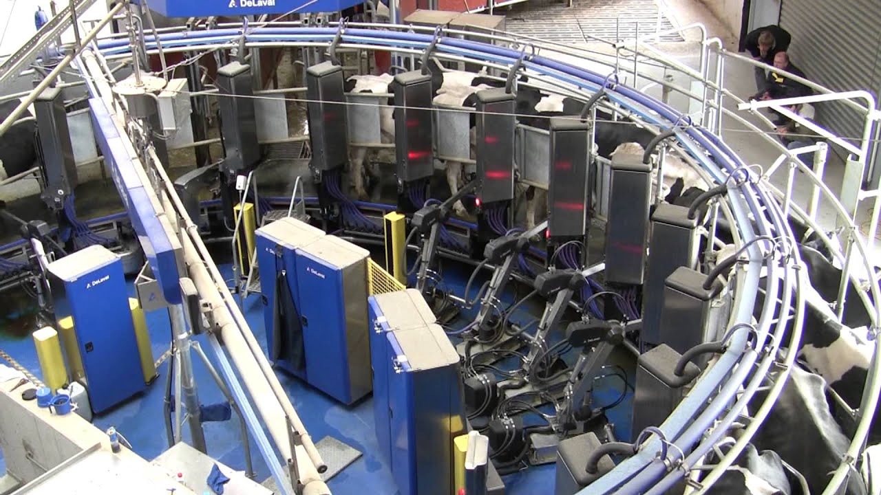 Automatisch Melken Rotor De Laval Schlossvippach - YouTube