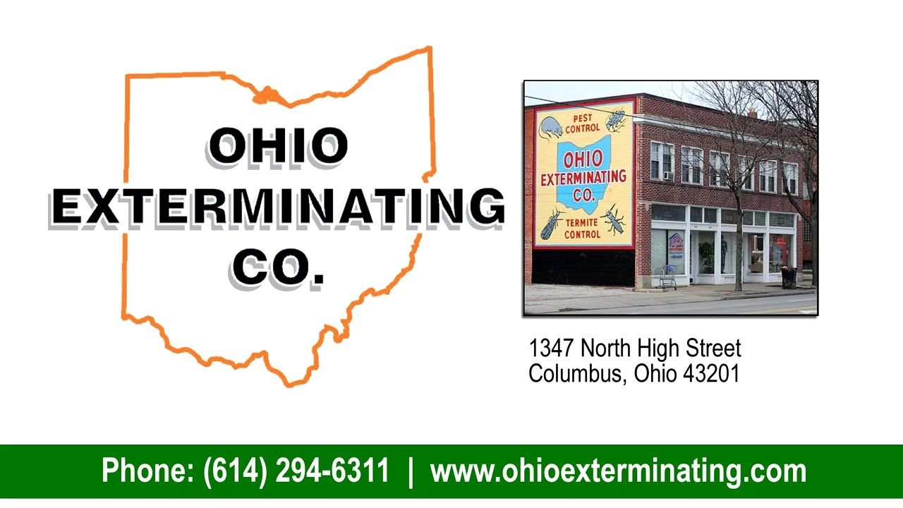 Ohio Exterminating Co. - REVIEWS - Columbus Ohio - YouTube