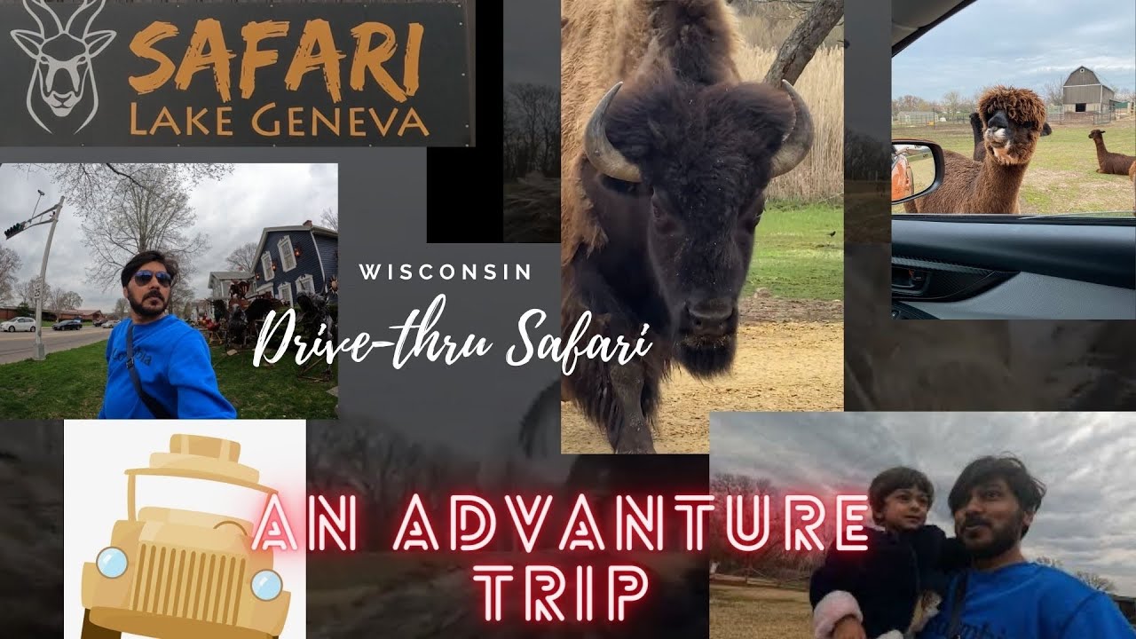 A 60-45 Mins Drive-thru Adventure day trip of exotic animal safari in ...
