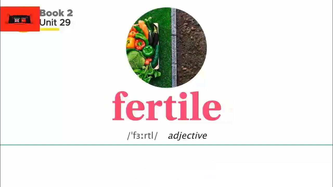 10 dakikada 60 ingilizce kelime Öğren - kitap 2 Bölüm 28,29,30 - Book 2 ...