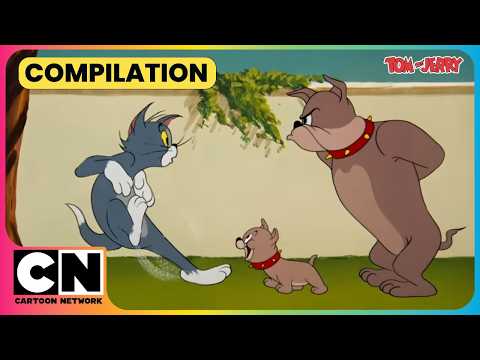Tom's Tricks Can't Beat Dad!🐶| Tom and Jerry😺| Cat & Mouse Cartoon😁| @cnindia ​