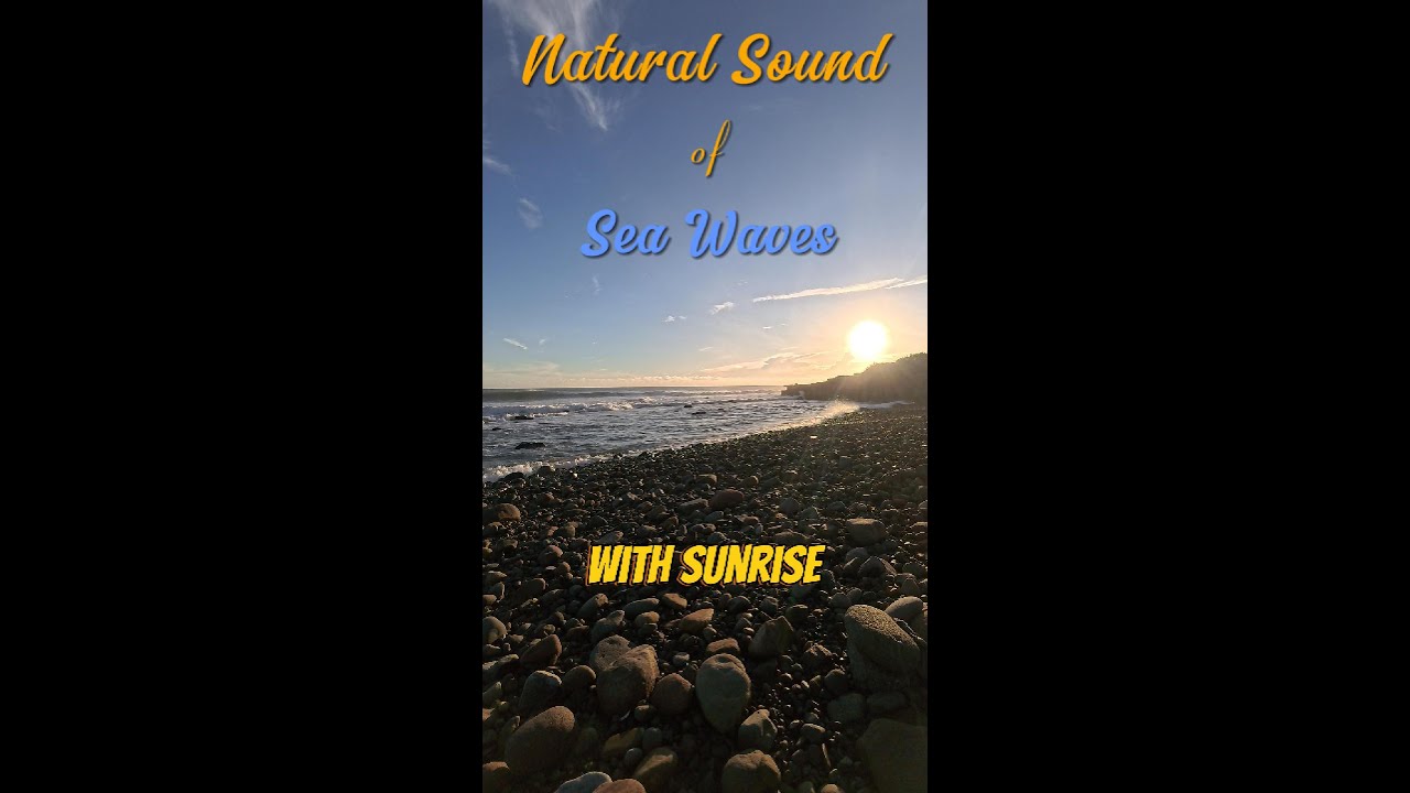 Natural sound of sea waves, along with beautiful sun rise at seawall ...