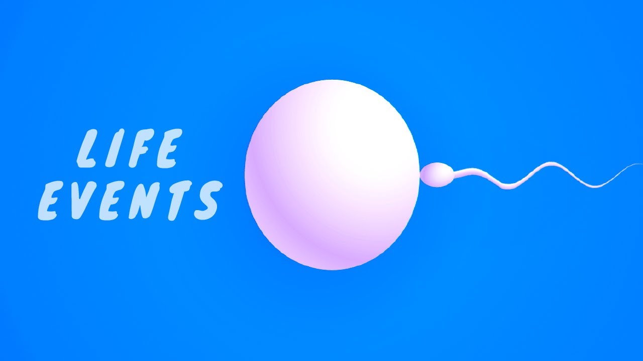 Life Events: English Learning Animated Videos for Schools - YouTube