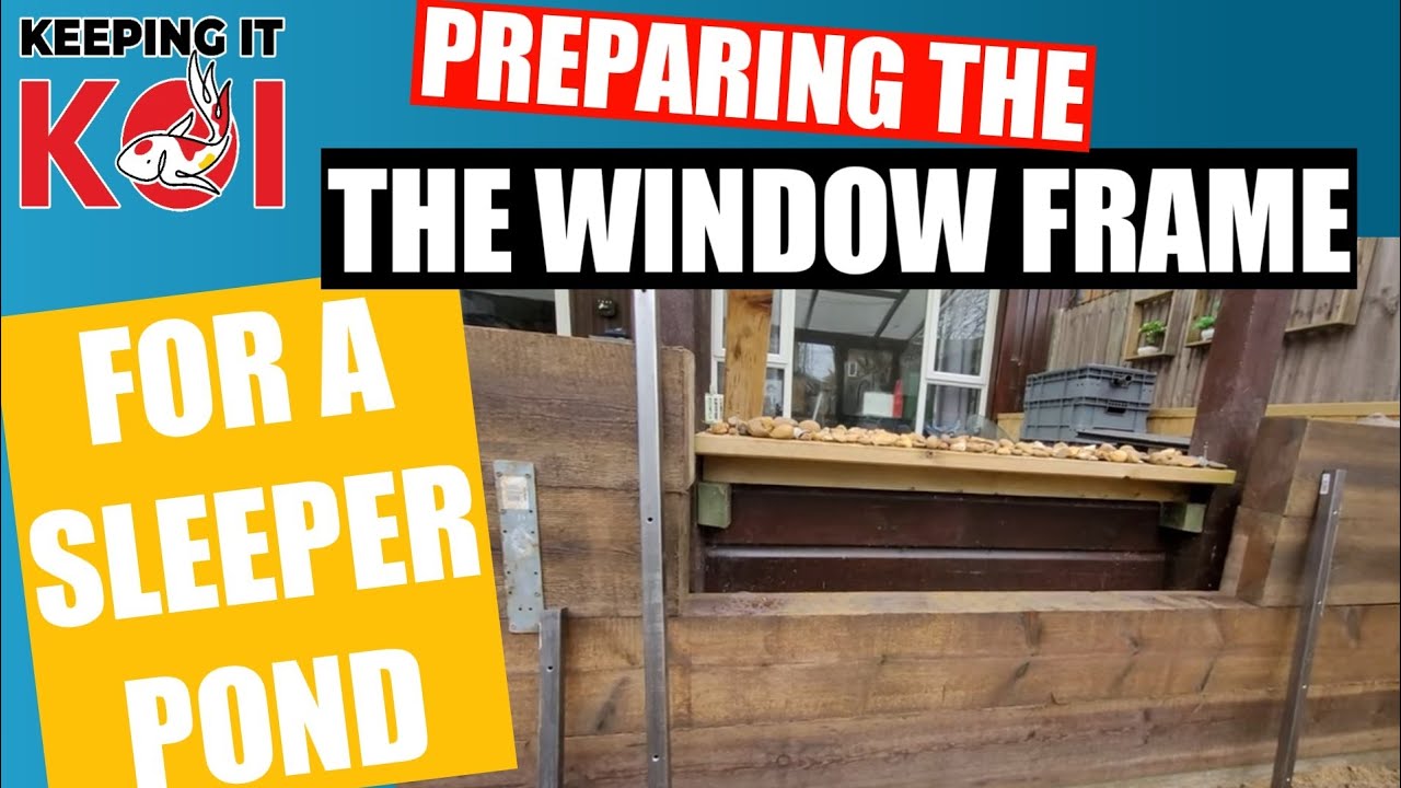 Sleeper Pond with Window (Part 21) Sleepers are up 👍🏻👍🏻👍🏻 - YouTube