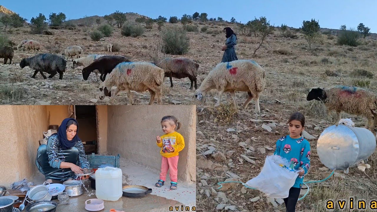 "From the Heart of the Mountain, a Safe Haven": Engineer Babazadeh ...