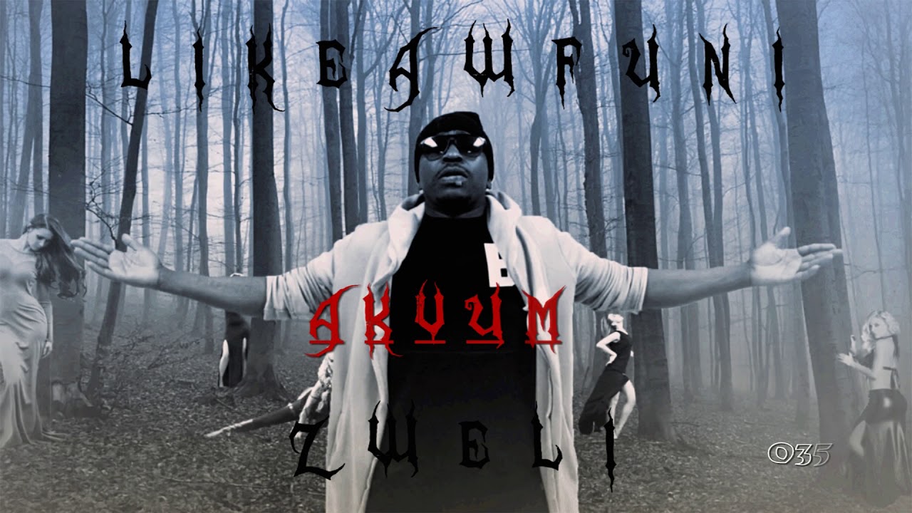 ZWELI likeawfuni official lyrics video - YouTube