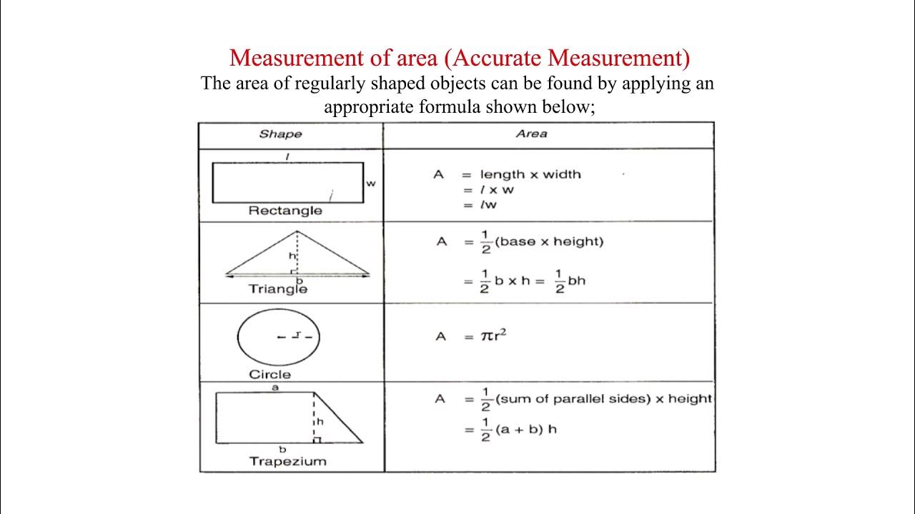 Measurement of area [Accurate Measurement] - YouTube