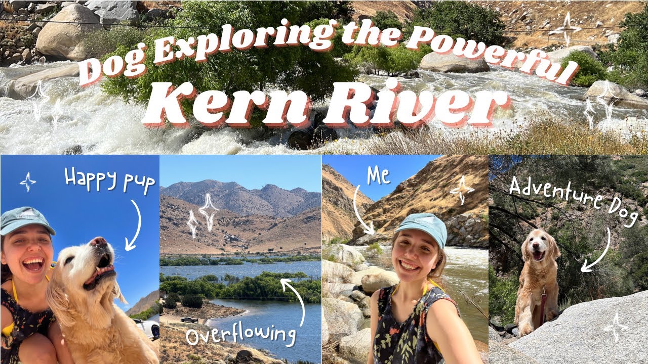 Dog meets the Powerful Kern River - YouTube