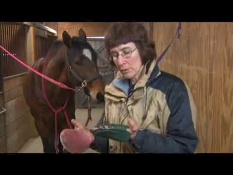 Benefits of Horse Jelly Scrubbers