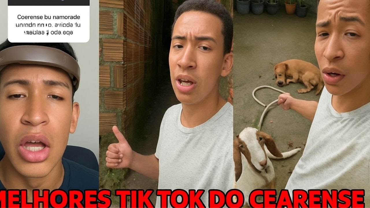 Os Melhores Vídeos Do Tik Tok Do Cearense - YouTube