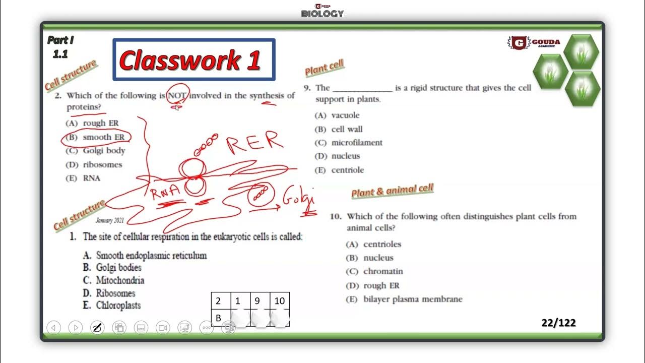 EST 2 / ACT 2 Biology Classwork 1 Practice - YouTube