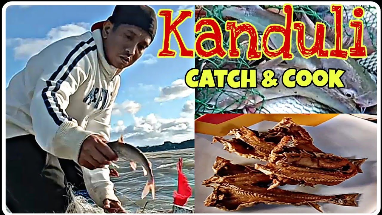 Kanduli Catch & Cook / laguna lake Net Fishing /Talim PH / Talim island ...