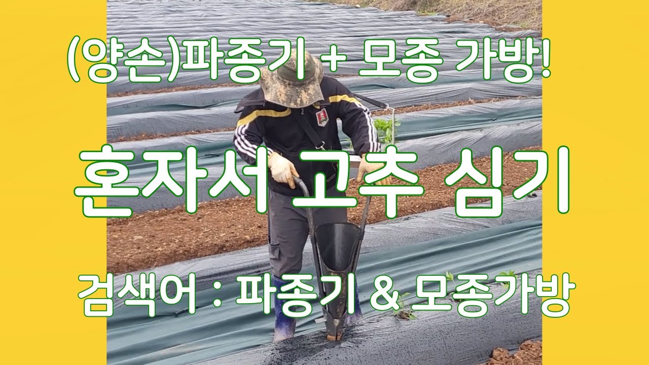 고추파종기 양손파종기 모종가방 이식기 고추심기 파종기 양손파종기 모종가방 Youtube