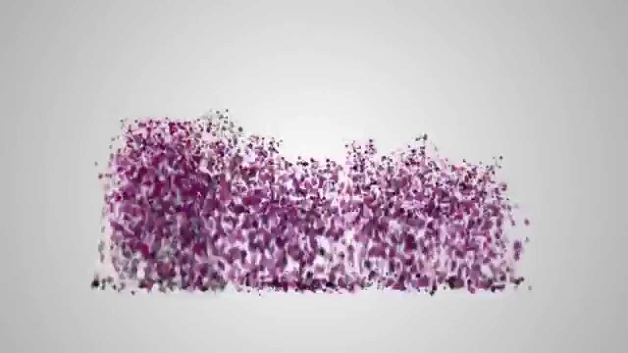 Philippe Matthews Show LIVE - Evolve - YouTube