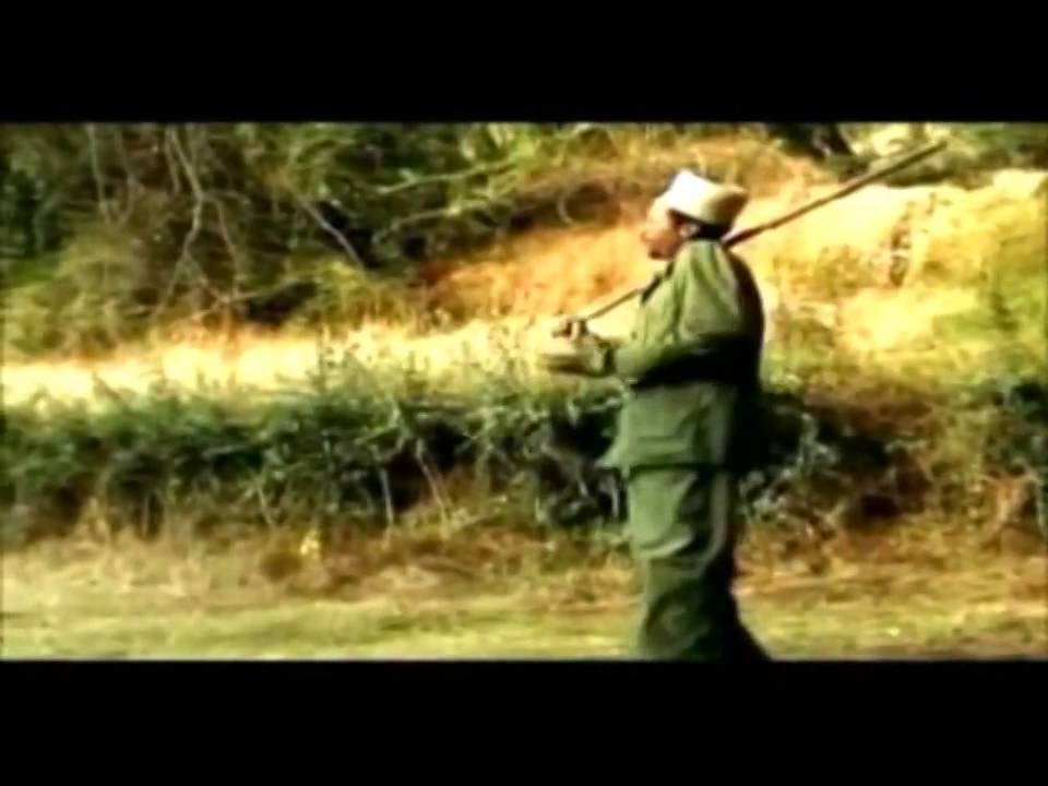 New Ethiopian music Video Fasil Demewoz Aynuma - YouTube