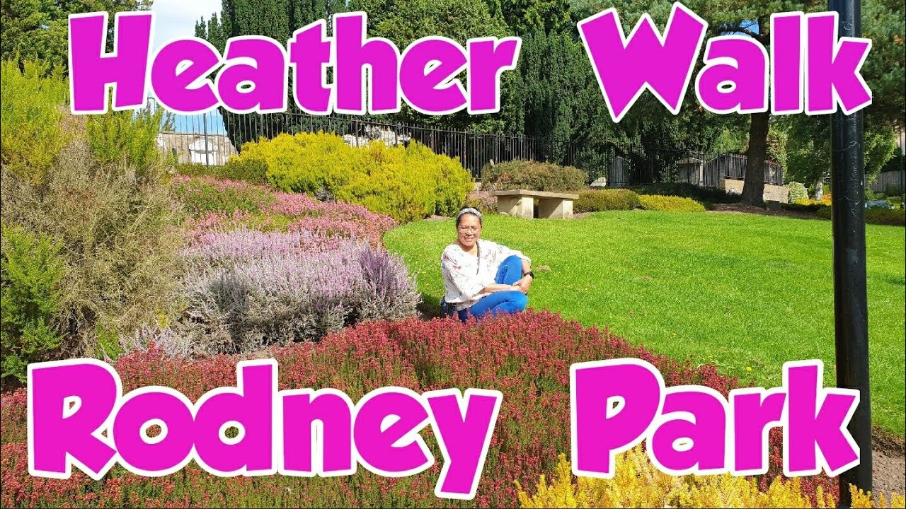 Heather Walk at Rodney Park, Perth UK @denisemariesjourney - YouTube