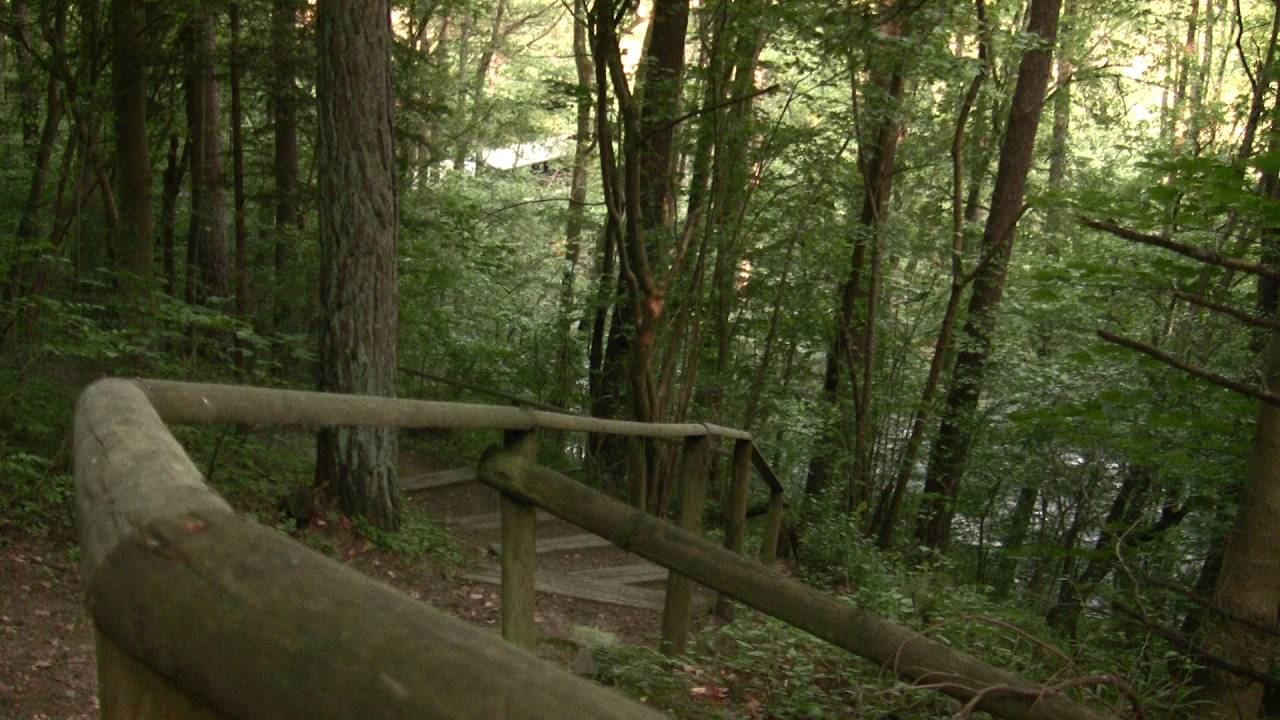 Birds & Water: Vögel und Wasser: Nature Sounds Free Download Germany ...