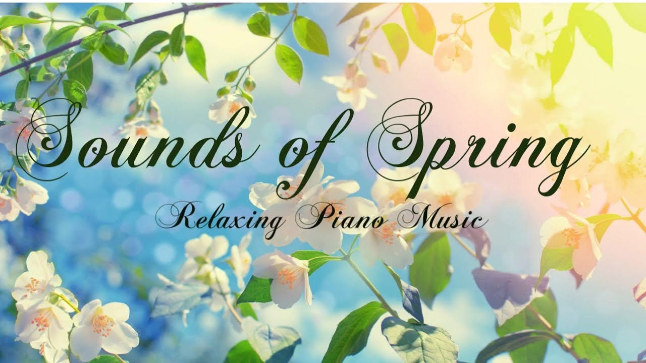 Beautiful Spring Morning Relaxing Piano Music, Instrumental Music For ...